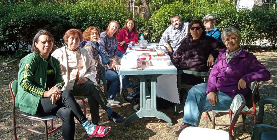 Protecting the Grove: The Experience of the Validebag Defense in Turkey ...